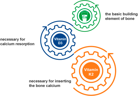 Why K2D3? - For healthy bones and vital joints